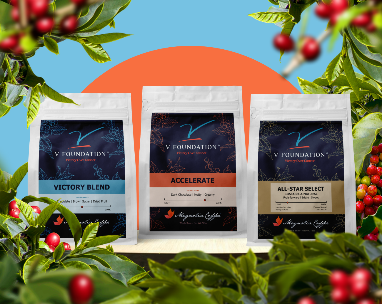 V Foundation Coffee Collection | Coffee for a Cause | Magnolia ...