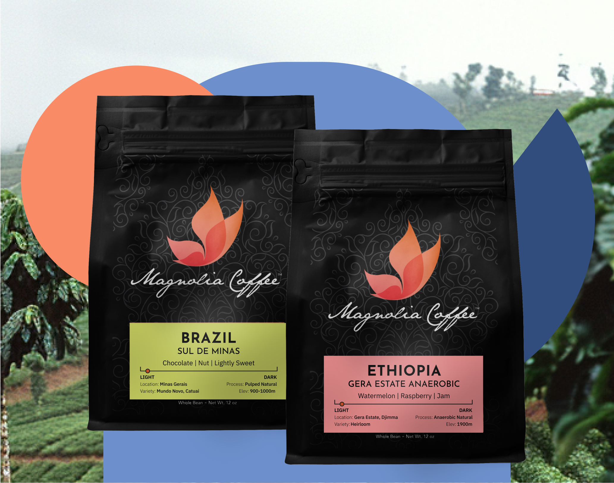 Best Selling Coffees | Customer Favorites | Magnolia Coffee Co.