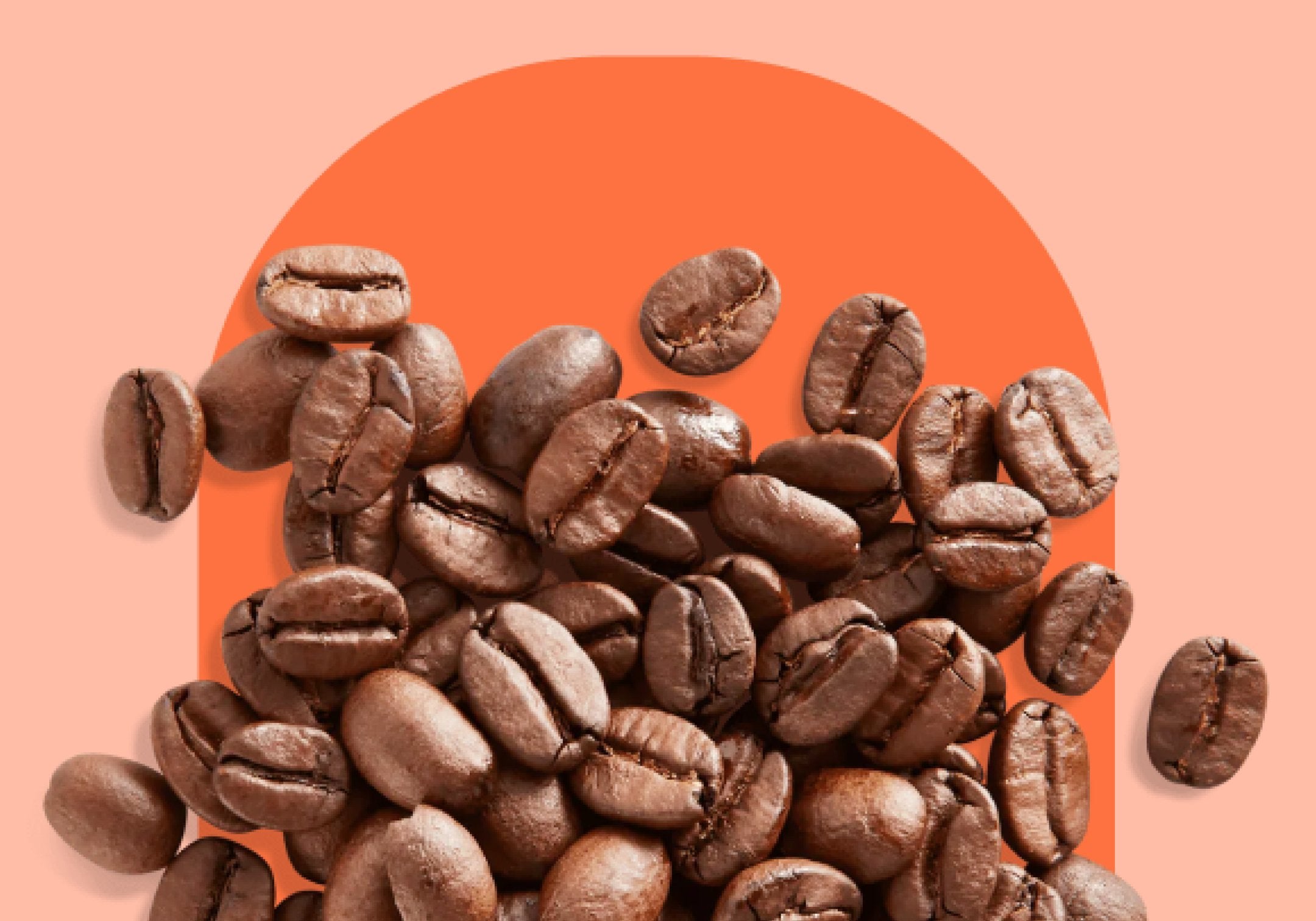 Medium Roast Coffee | Balanced & Smooth | Magnolia Coffee
