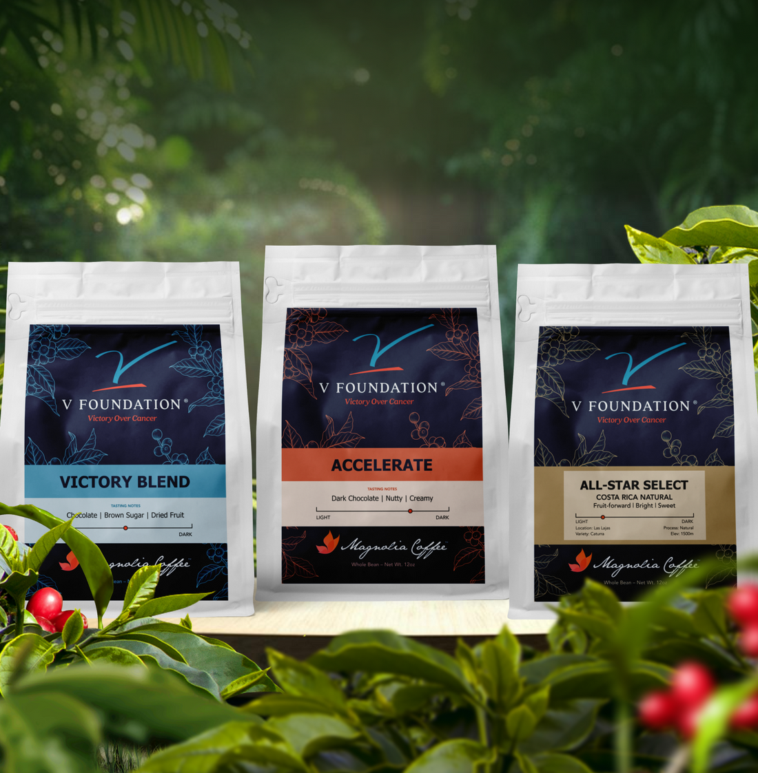 Magnolia Coffee | Award-Winning Coffee Roasted & Shipped to Your Door