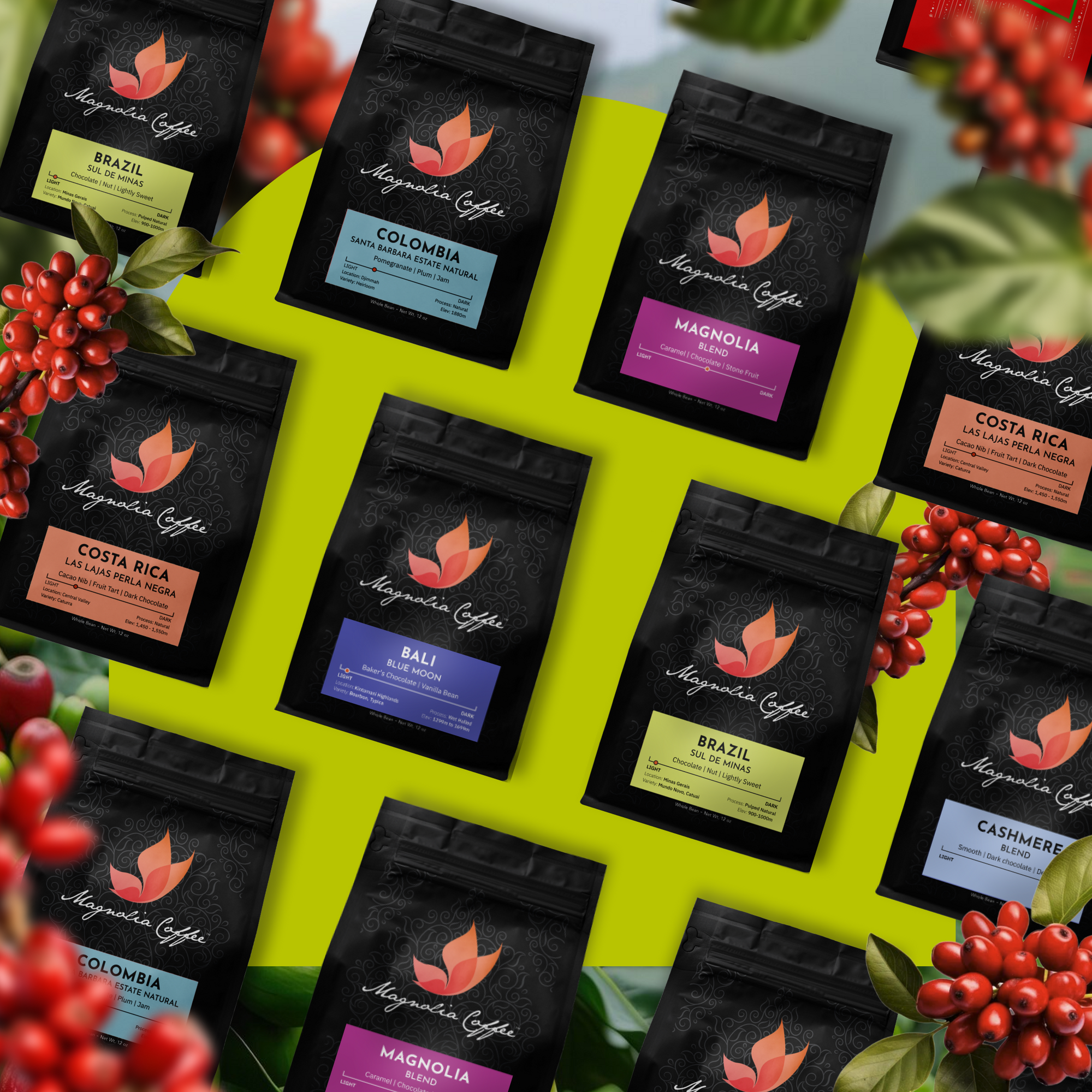 Magnolia Coffee | Award-Winning Coffee Roasted & Shipped to Your Door