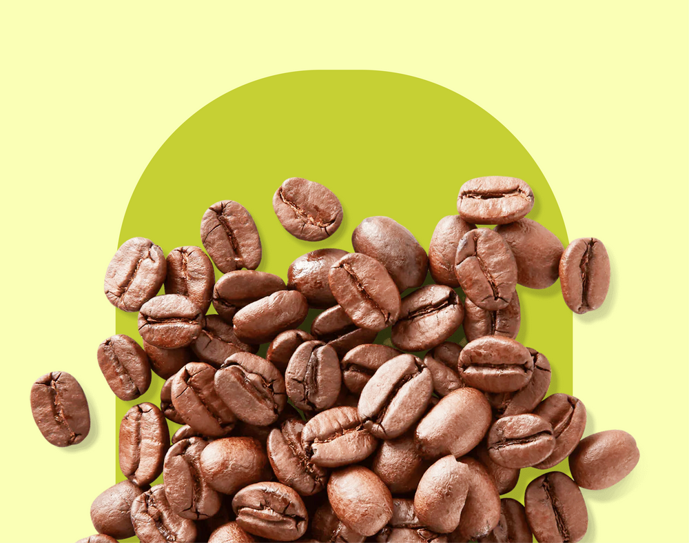 Magnolia Coffee | Award-Winning Coffee Roasted & Shipped to Your Door