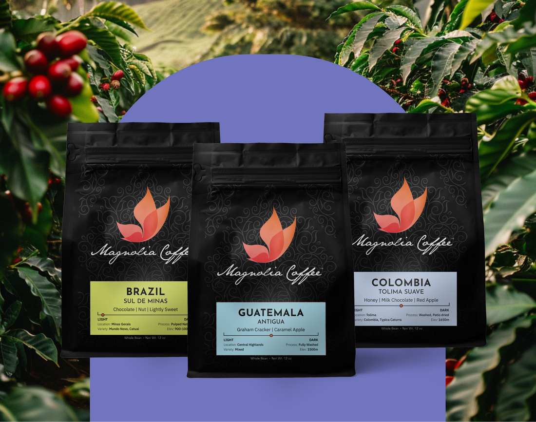 Magnolia Coffee | Award-Winning Coffee Roasted & Shipped to Your Door